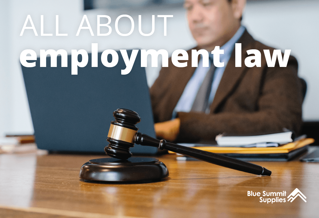 Employment Law 101: Understanding Employee Rights