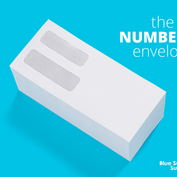 Standard 10 Window Envelope