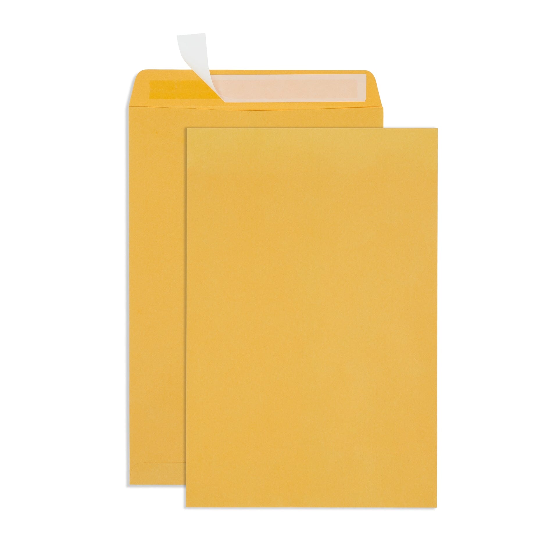 Blue Summit Catalog Envelopes, 10 x 15-Inch, Thick 28lb Kraft Paper, P