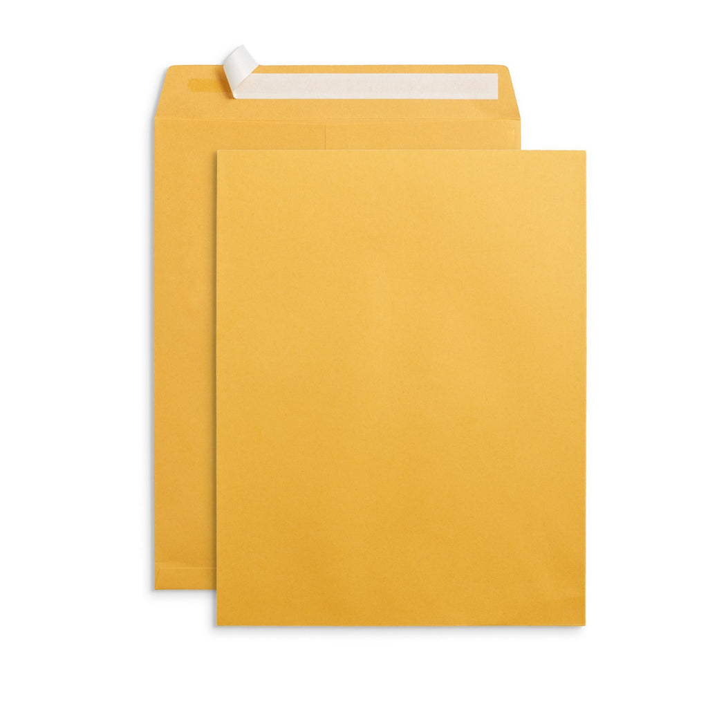 Blue Summit Supplies Catalog Envelopes, 10" x 13", Kraft, Self Seal, 1
